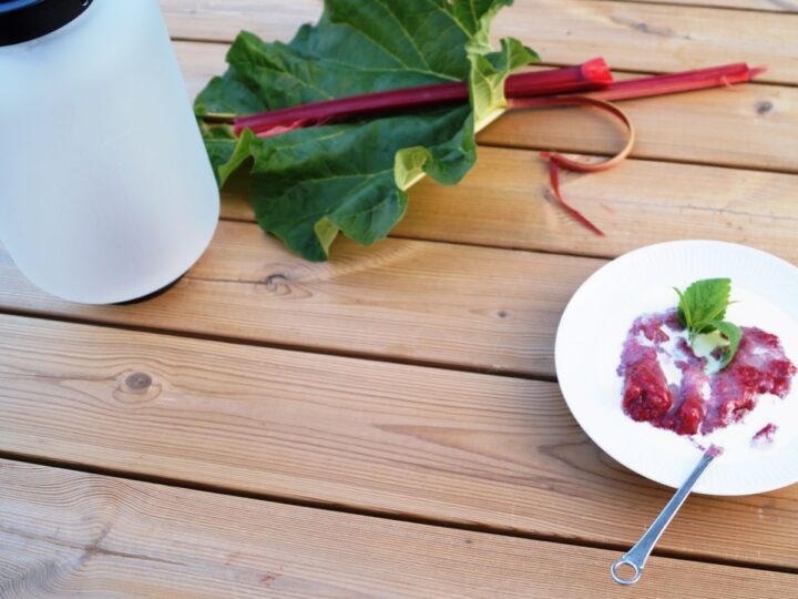 Rom rosin is med vanilje - Is med fløde og mælk - Min Madopskrift