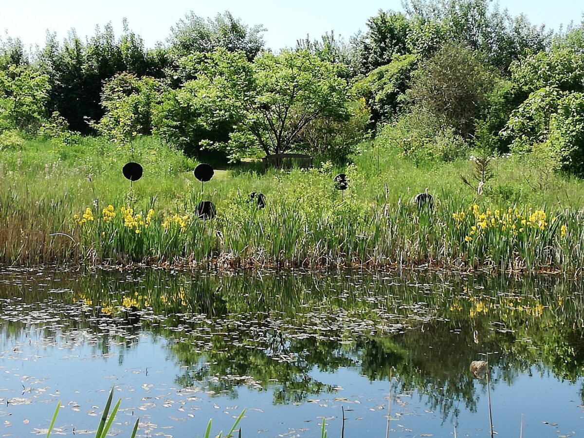 Haven Asperupgaard ved Middelfart